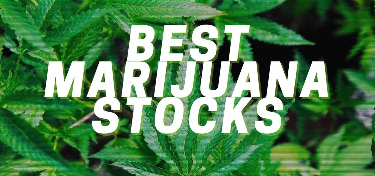 These Are The 8 Best Marijuana Stocks To Buy For Green Profits!