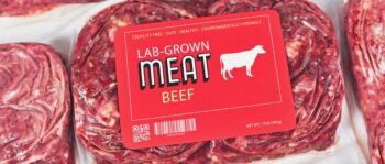 The 5 Best Lab-Grown Meat Stocks To Buy For October 2025