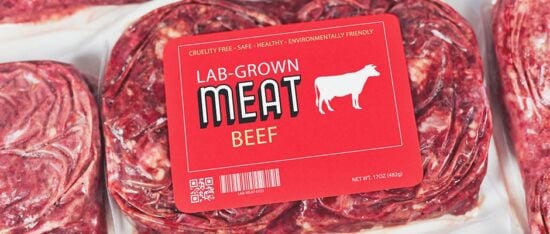 The 5 Best Lab-Grown Meat Stocks To Buy For December 2025