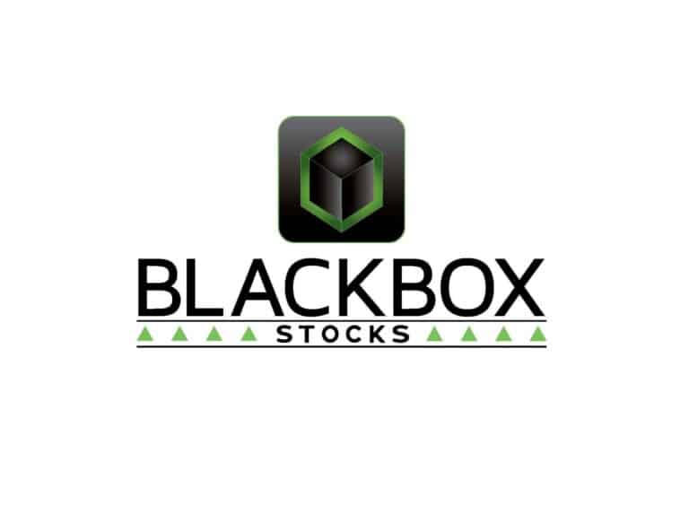 BlackBoxStocks Review 2026 - The Stock Dork