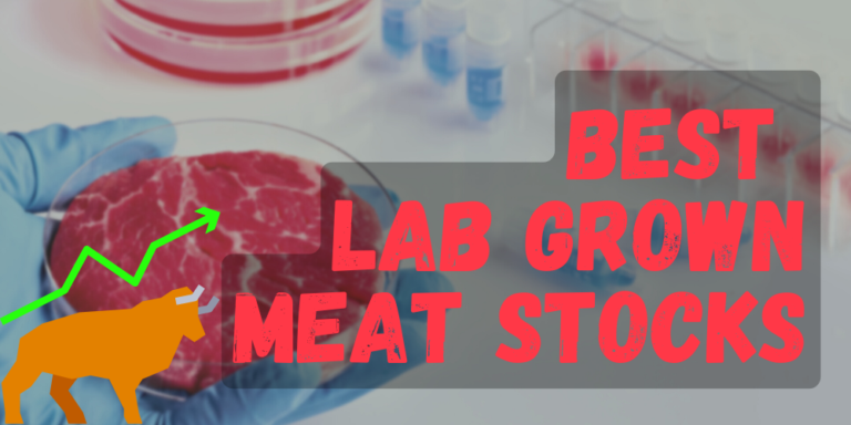 The 5 Best Lab-Grown Meat Stocks To Buy For December 2025