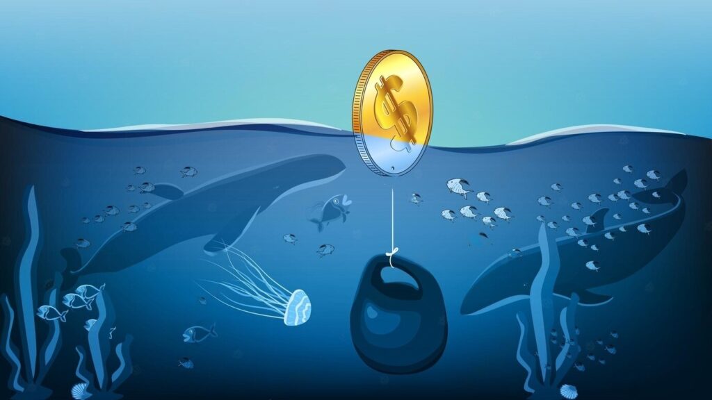 What Is a Whale in Stock Market?