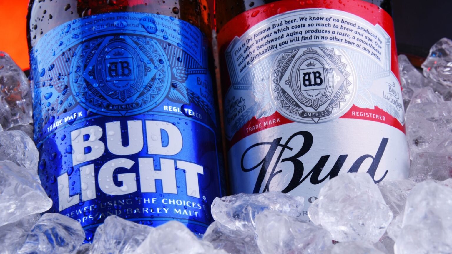 Bud Light drama hits a new low: Factories begin to close as sales ...