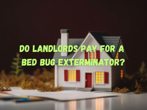 Do Landlords Pay for a Bed Bug Exterminator? An Authentic Guide