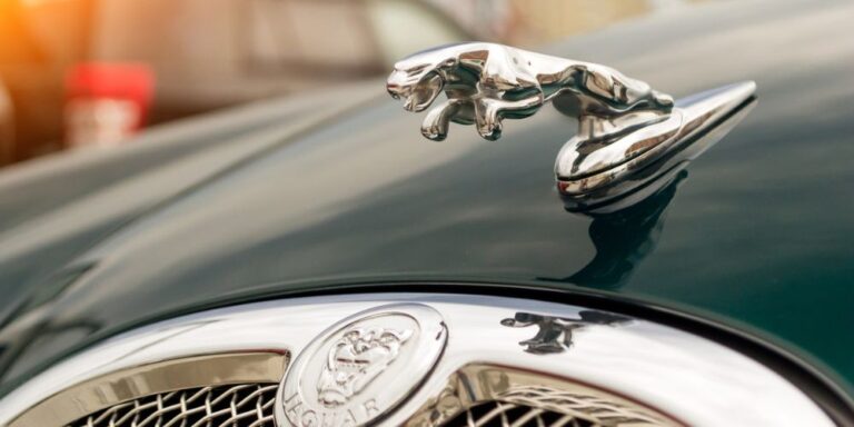 Who Owns Jaguar? Everything You Need to Know From Past to Present