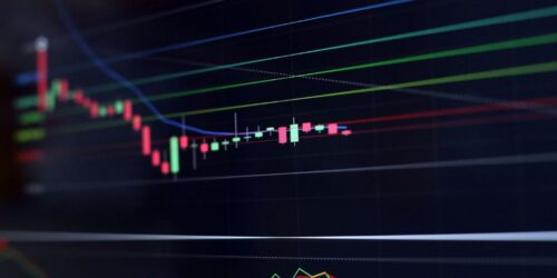 What To Do When A Stock Is Halted? Expert Tips Inside