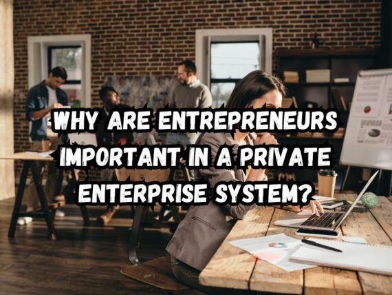 Why Are Entrepreneurs Important in a Private Enterprise System? An ...