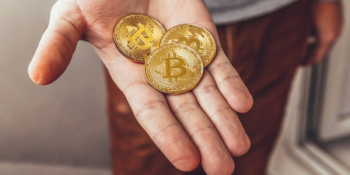 The Stock Dork - Stock Market, Business, Finance & Cryptocurrency News
