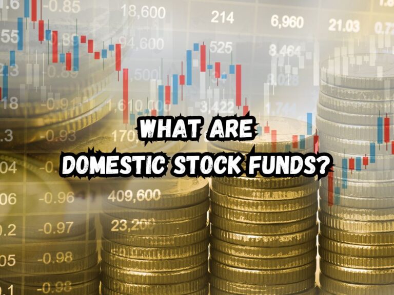 What Are Domestic Stock Funds? Ultimate Guide to Understanding