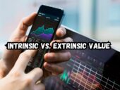 Intrinsic vs Extrinsic Value: A Comprehensive Comparison Guide