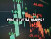 What Is Turtle Trading? Easy Guide
