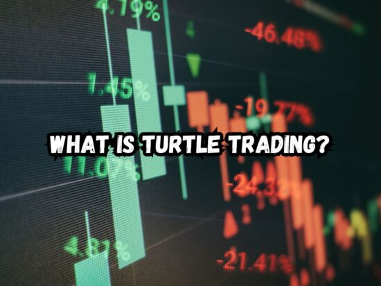 What Is Turtle Trading? Easy Guide