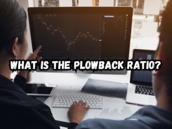 What Is the Plowback Ratio? A Comprehensive Guide